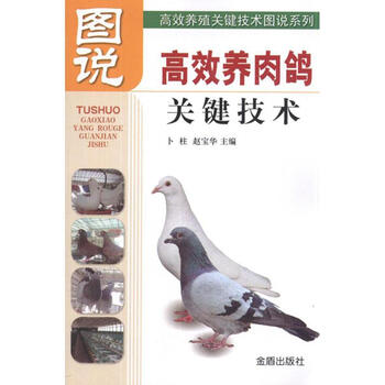图说高效养肉鸽关键技术