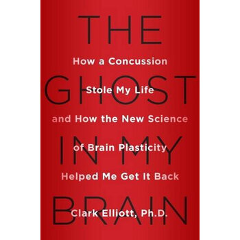 The Ghost in My Brain  How a Concussion Stole My