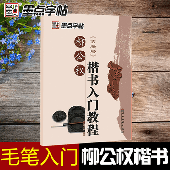 柳公权楷书入门教程《玄秘塔》墨点字帖 临摹柳体玄秘塔碑书法毛笔字帖 笔画部首逐一讲解 湖北美术出版社