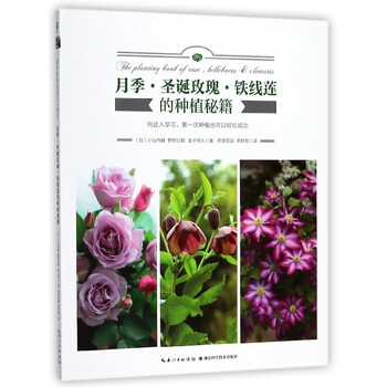 月季圣诞玫瑰铁线莲的种植秘籍
