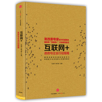 互联网+ 政府与企业行动指南 孔剑平等著 解读国家互联网+行动指导意见 中信出版社