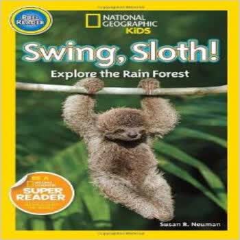 NGR SWING SLOTH!