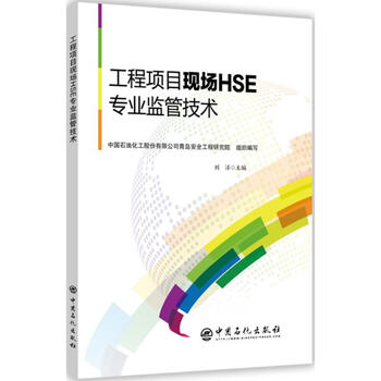 工程项目现场HSE专业监管技术