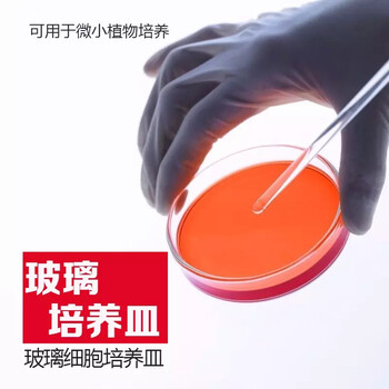 玻璃培养皿 初中高中生物实验器材 教学仪器 细菌皿 60mm