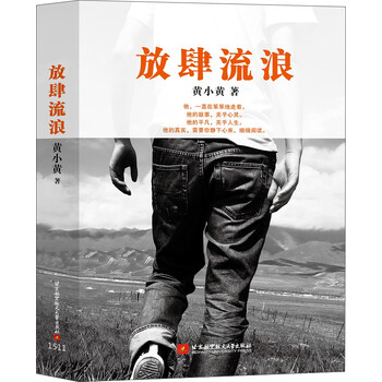 正版 放肆流浪9787512417670黄小黄　著