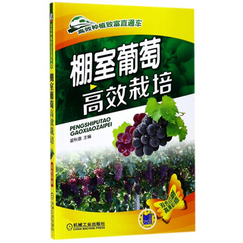 棚室葡萄高效栽培(双色印刷)/高效种植致富直通车
