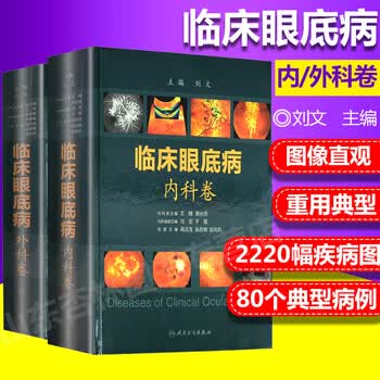 现货正版 临床眼底病 内科卷+外科卷 2本 刘文主编 可搭眼底病学 眼科学医师书籍 人民卫生出版社
