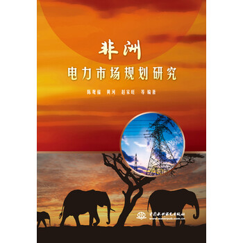 非洲电力市场规划研究