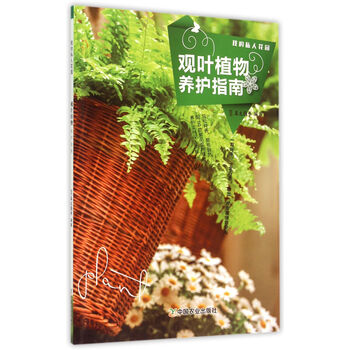 观叶植物养护指南(我的私人花园)