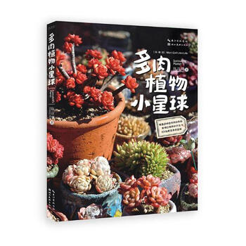 多肉植物小星球 家居 书籍