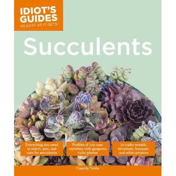 Succulents