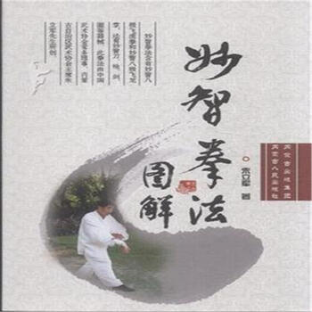 妙智拳法图解