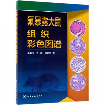 氟暴露大鼠组织彩色图谱