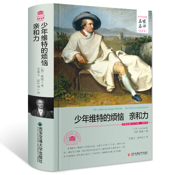 少年维特的烦恼 亲和力（世界文学名著 名家名译 全译本）