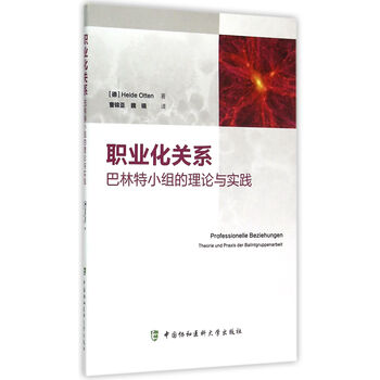 职业化关系(巴林特小组的理论与实践)