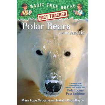 Polar Bears and the Arctic: A