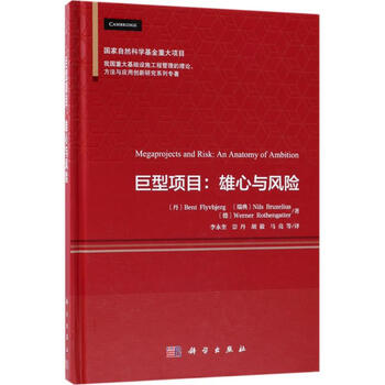 巨型项目