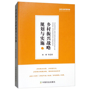 乡村振兴战略规划与实施/绿维文旅控股集团绿维开发运营丛书