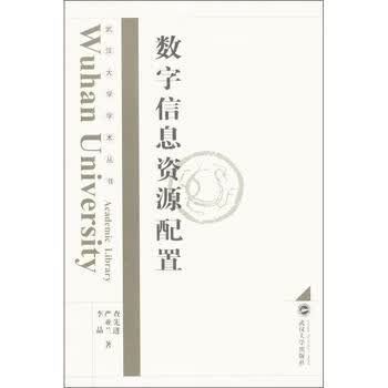 数字信息资源配置