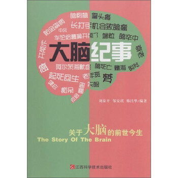 大脑纪事