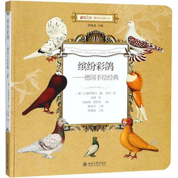 缤纷彩鸽