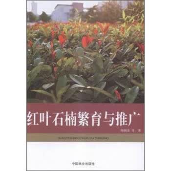 红叶石楠繁育与推广