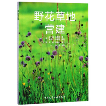 野花草地营建