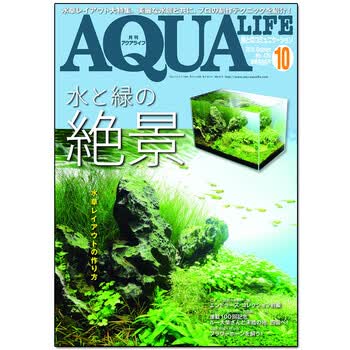 【包邮】【订阅】AQUA LIFE アクアライフ日版景观鱼饲养杂志 一年12期原版