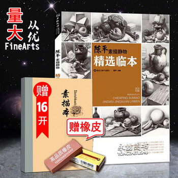 【】2018陈平素描静物精选临本卓越教学单个组合素描静物结构基础入门解构经典照片
