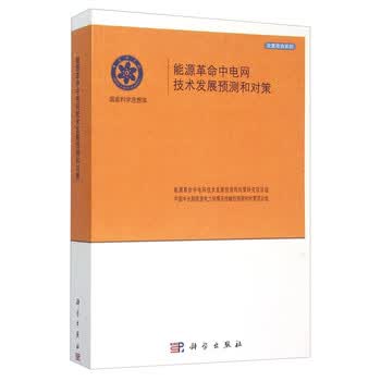 能源革命中电网及技术发展预测和对策