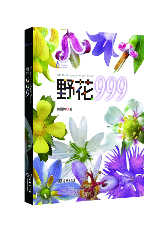 野花999（自然观察丛书）