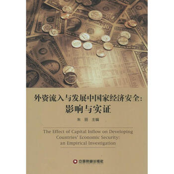 外资流入与发展中国家经济安全