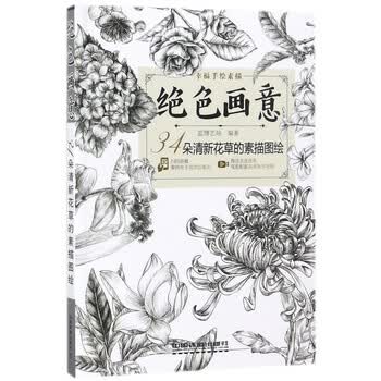 绝色画意(34朵清新花草的素描图绘)