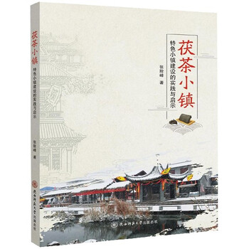 茯茶小镇(特色小镇建设的实践与启示)