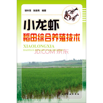 小龙虾稻田综合养殖技术