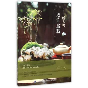 超人气迷你盆栽