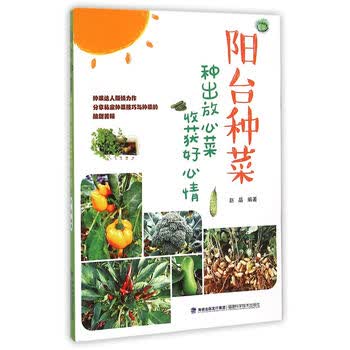阳台种菜(种出放心菜收获好心情)