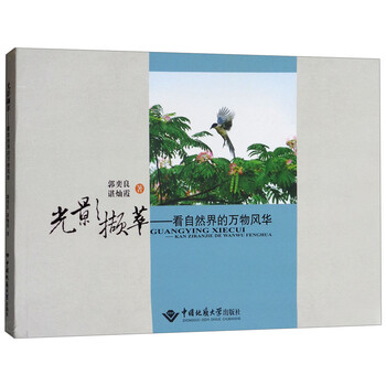 光影撷萃：看自然界的万物风华
