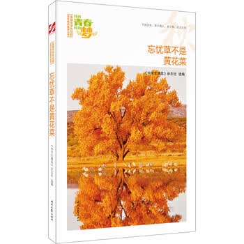 我的青春我的梦：（秋）忘忧草不是黄花菜