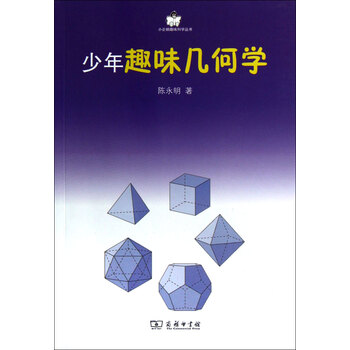 少年趣味几何学/小企鹅趣味科学丛书
