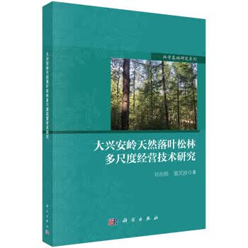 大兴安岭天然落叶松林多尺度经营技术研究