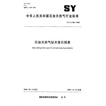 SY/T 6708-2008 石油天然气钻井液日报表