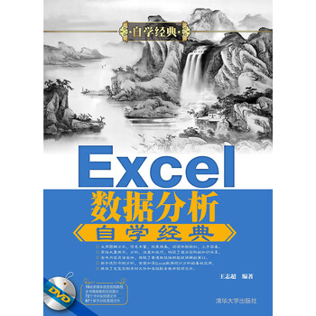 Excel数据分析自学经典/自学经典（附光盘）