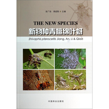 新物种青檀绵叶蚜