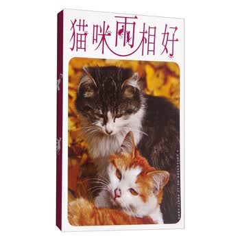 猫咪两相好（明信片）