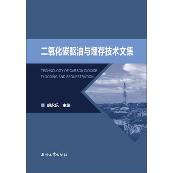 二氧化碳驱油与埋存技术文集