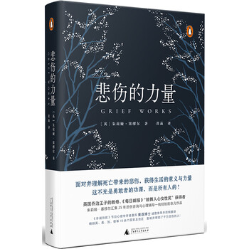 新民说·悲伤的力量（非诚勿扰嘉宾黄菡翻译力荐！）
