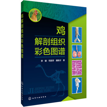 鸡解剖组织彩色图谱