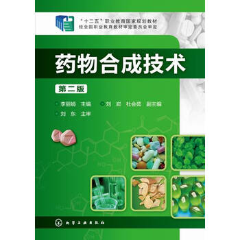 药物技术(第二版)