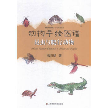 昆虫与爬行动物-动物手绘图谱 科普读物 书籍